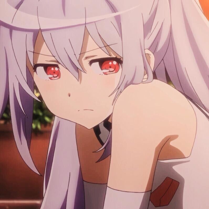 Royal Single Dog - R6S战队官网